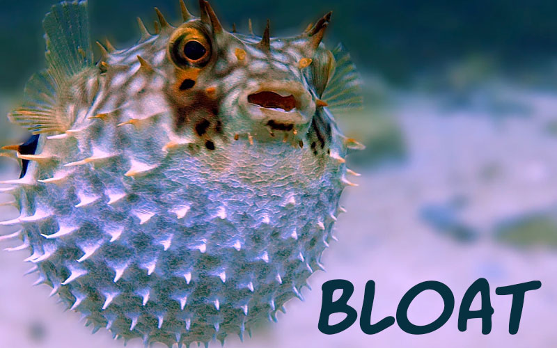 On software bloat… – SQLBlog.org