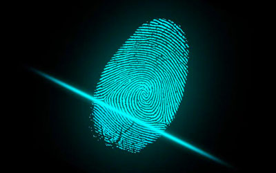 What permissions are required for SET IDENTITY_INSERT ON? – SQLBlog.org