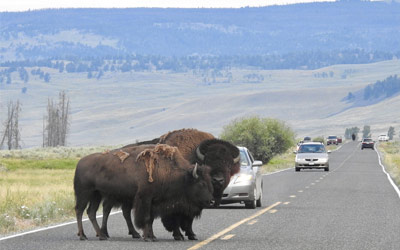 August 2020 – SQLBlog.org