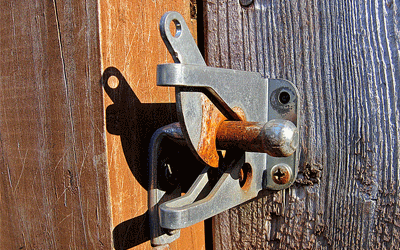 SQL Server 2019 – SQLBlog.org